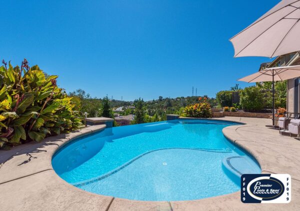 Freeform Pools & Freeform Pool Designs - Premier Pools & Spa
