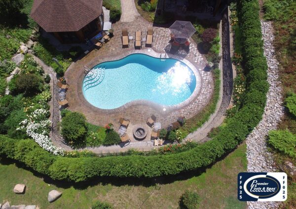 Freeform Pools & Freeform Pool Designs - Premier Pools & Spa