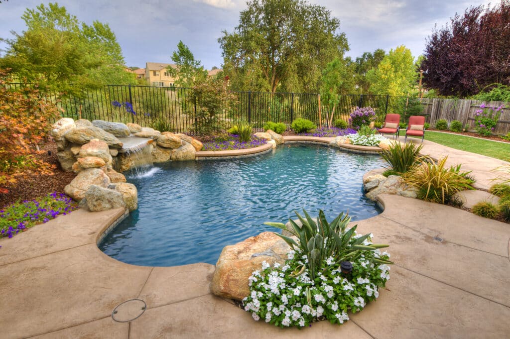 Take Root: 11 Best Plants for Around the Pool - Premier Pools & Spas